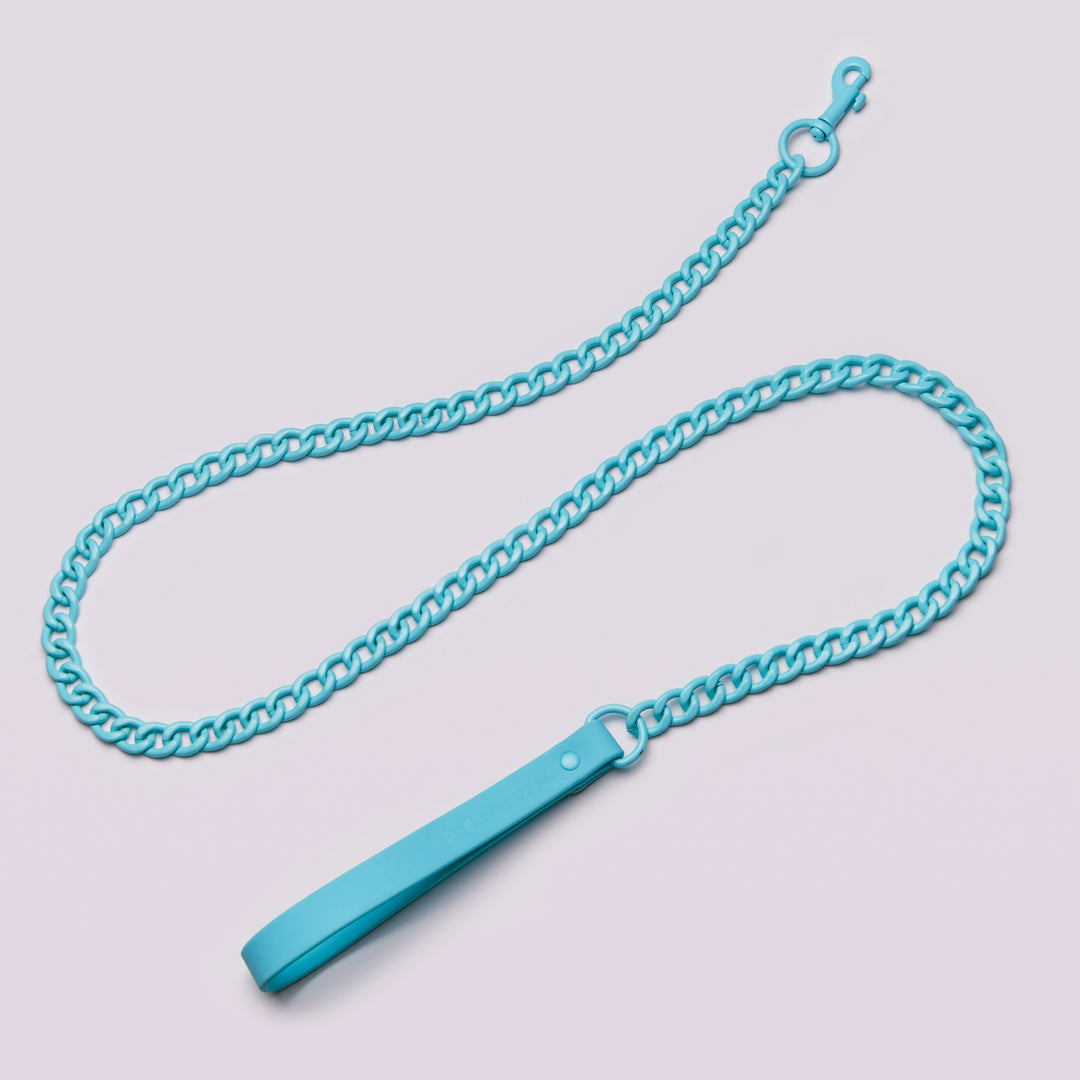 Leashes – Sgt Puppa